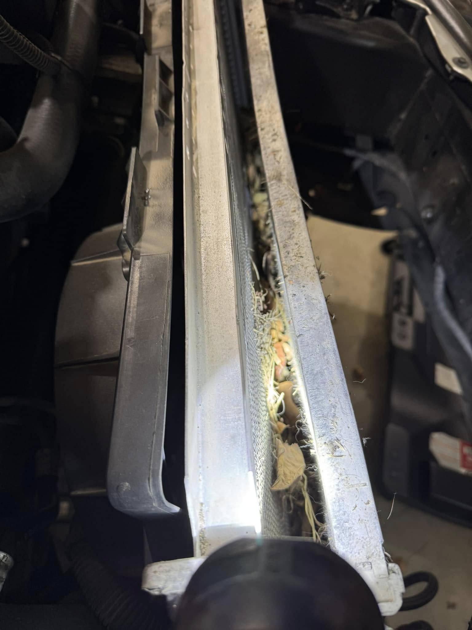 Why & How to Clean the C5 Corvette Radiator | C5Corvettes.com